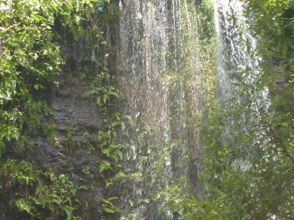 Falcons Mania: A Day Trip to Konai Falls