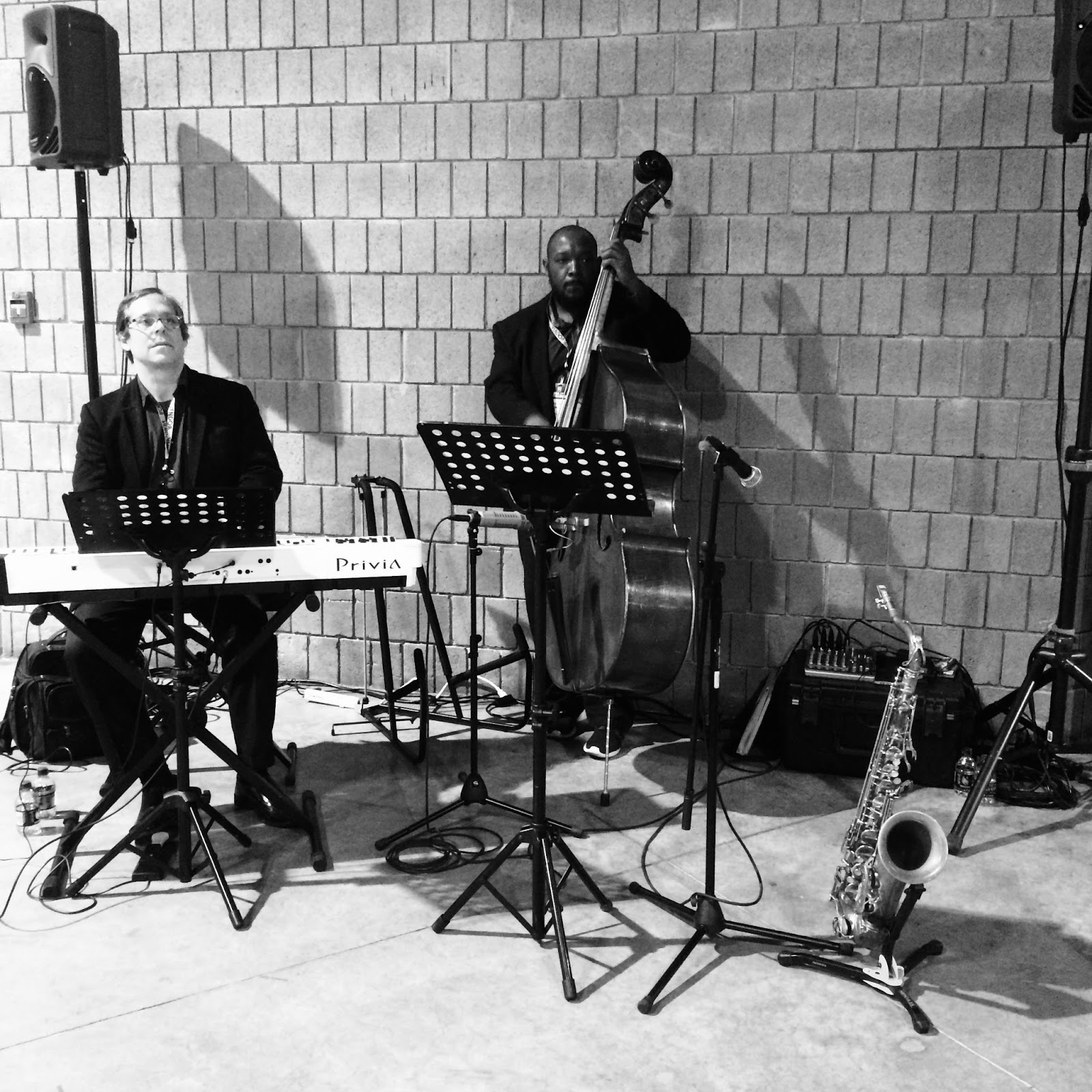 David Freeman Music: Trio