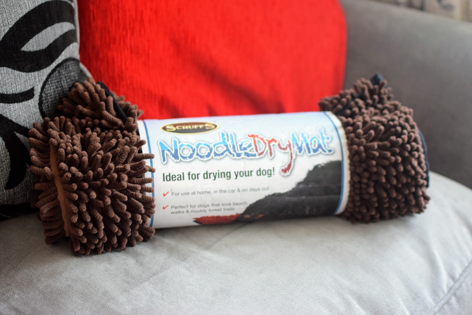 Toby Dog: Walks and Water Play + Win A Scruffs Noodle Dry Mat - Diary ...