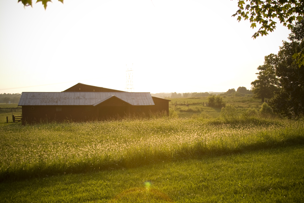 Exploring Lands: The Beeches, Springfield, TN