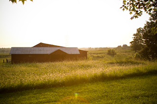 Exploring Lands: The Beeches, Springfield, TN