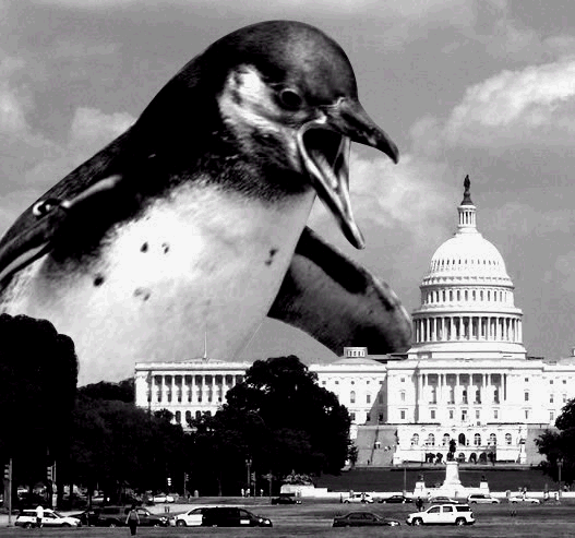 The Land of Cerpts and Honey: THE 2012 PENGUIN AWARDS NOMINATIONS