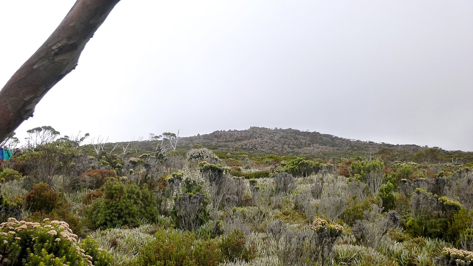 Ramblings: Thark Ridge 2017