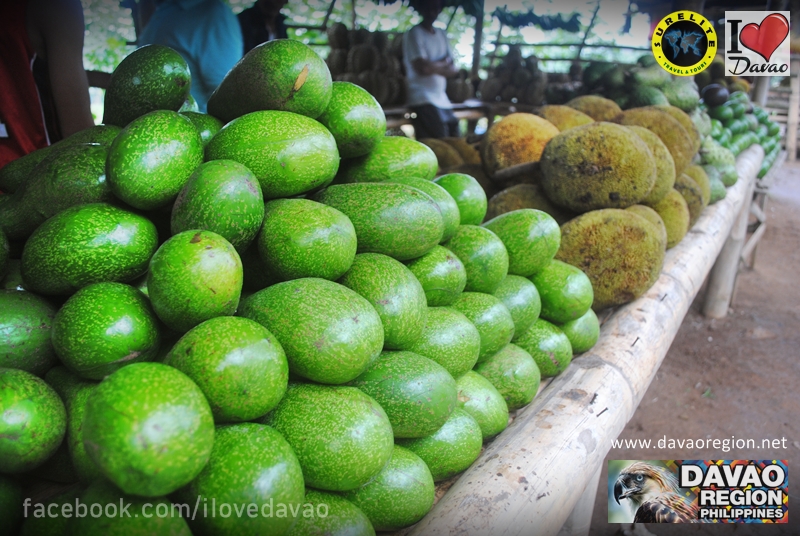 Fresh Fruits from Davao Region - Davao Region Philippines Southern Mindanao