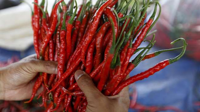 MAKAN 2,5 KG CABAI SETIAP HARI, DIJULUKI RAJA CABAI - DOULOS PUSAT