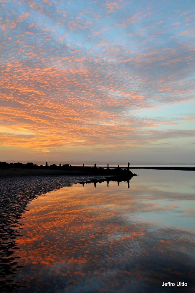 Bella Menti: Wooden Sculptures by Artist Jeff Uitto