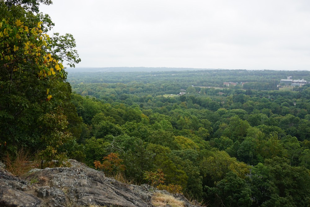 Harriman Hiker: Harriman State Park and Beyond: New Vista Loop Trail at ...
