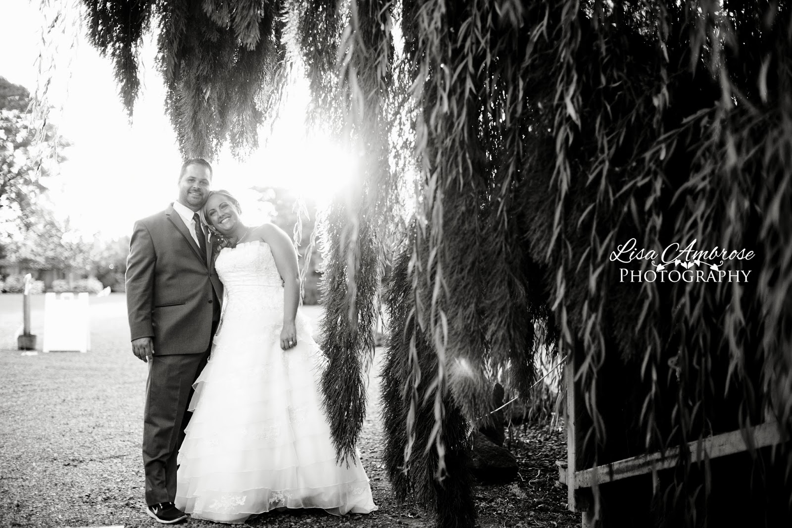 Lisa Ambrose Photography