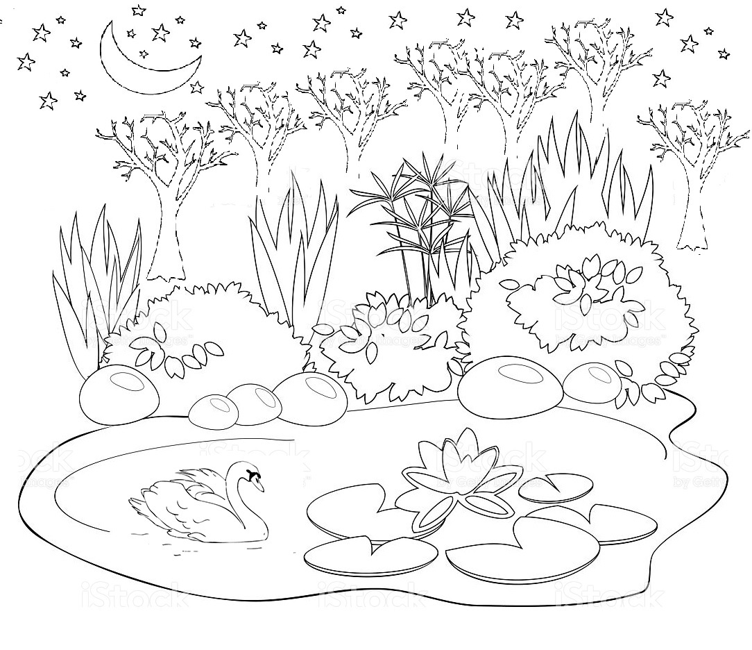 Lumea lui Scolarel...: Activitate 15 ianuarie la clasa pregătitoare ...