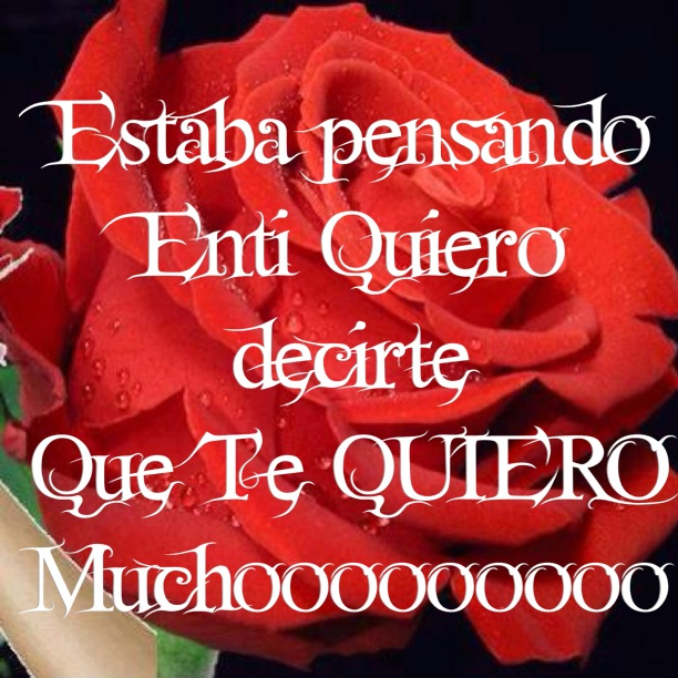 Imagenes De Te Amo Mucho Con Movimiento Imagui