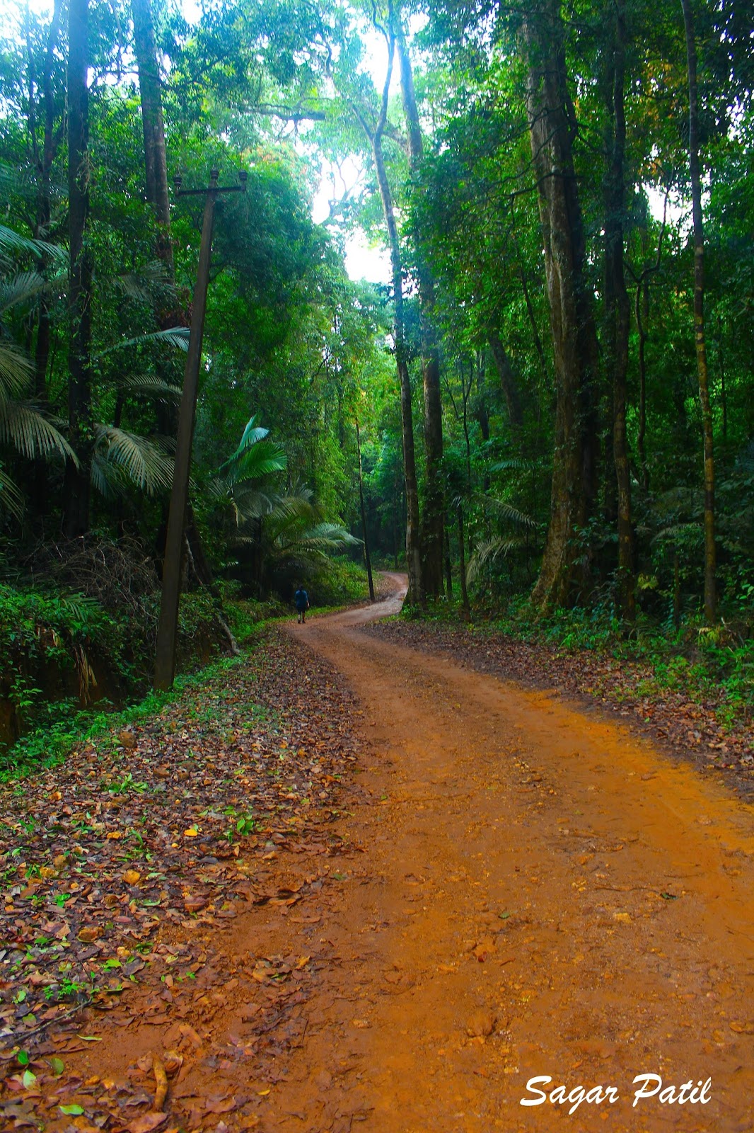 Into the wild: Thrill of Agumbe, bliss of Koodlu - Bangalore Trekking Club®
