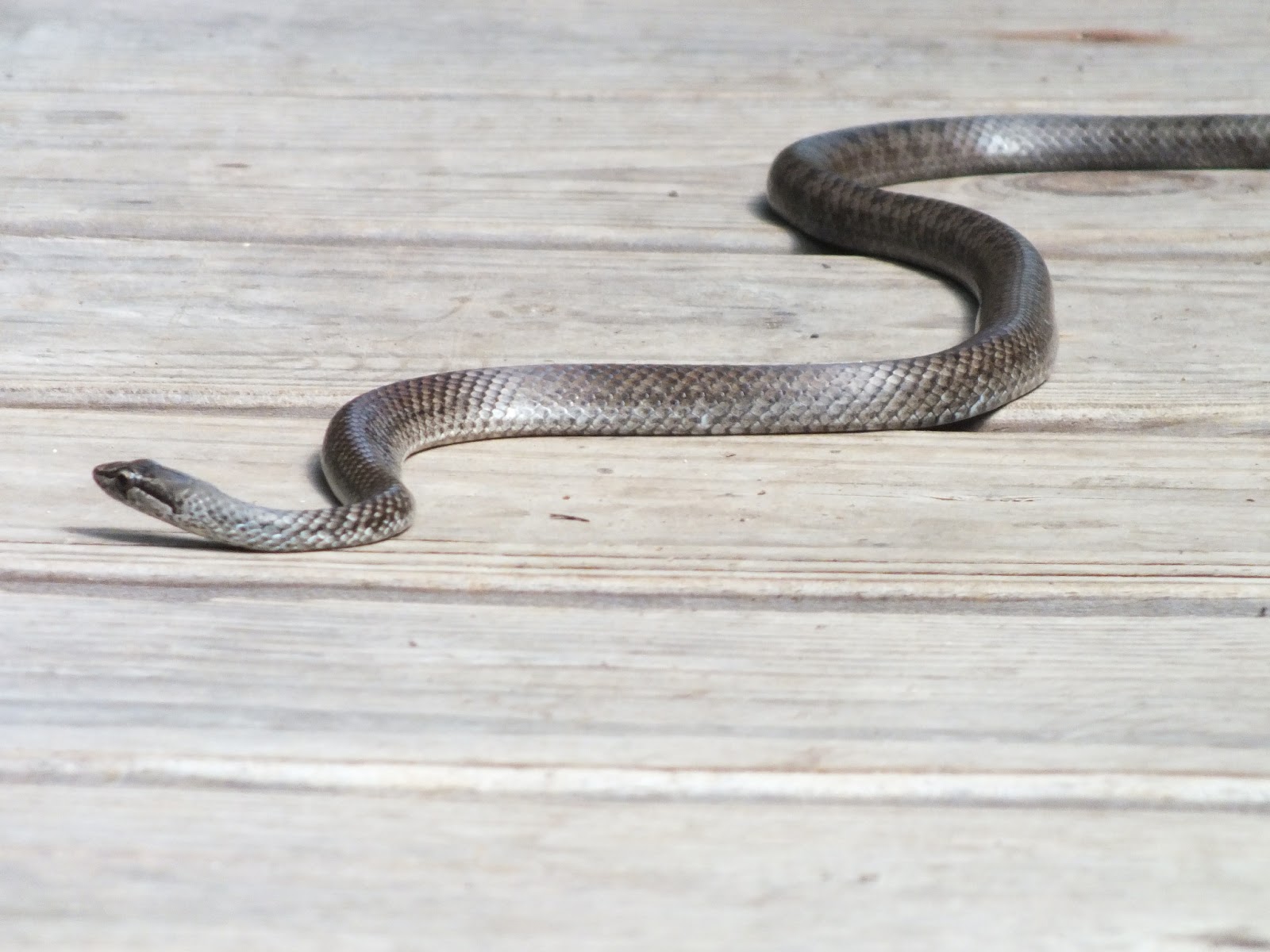 “To travel is to live.” - Hans Christian: The East side of Grand Cayman