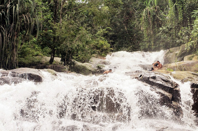 Hello Buu: The Beauty of Nature: Lata Mengkuang