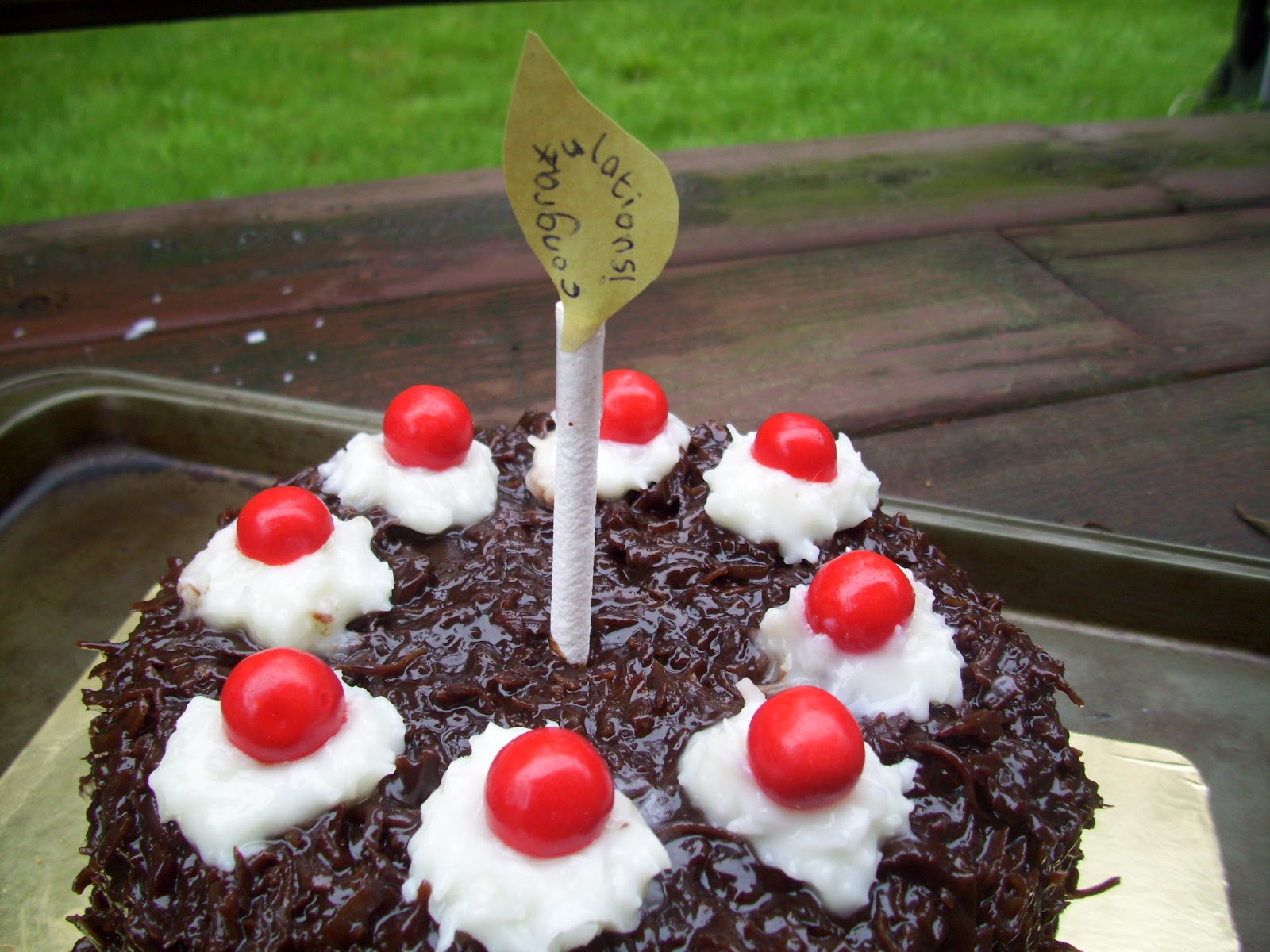 Food Blog: Portal Cake!