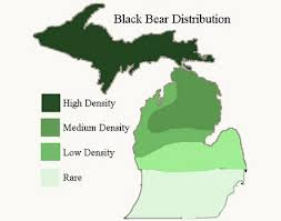 The Lindahl News: We Won! (P*S*C* #51)