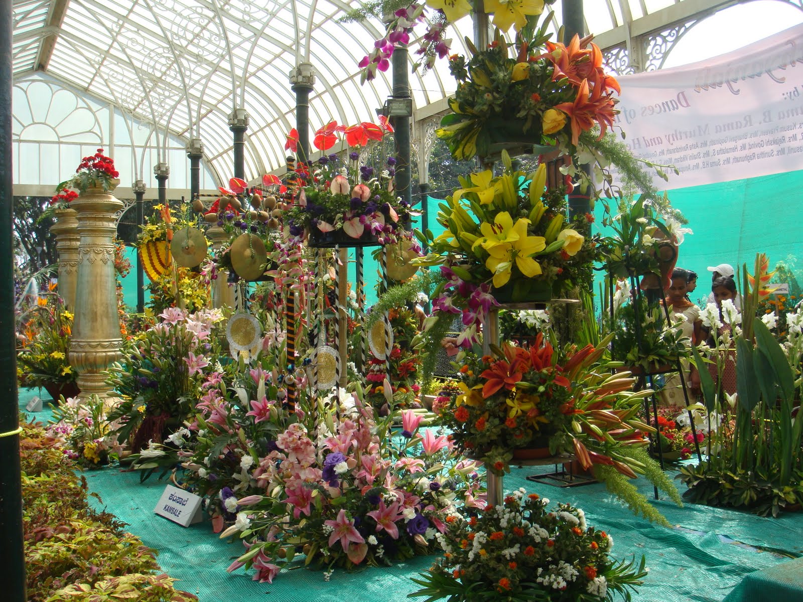 A Protest of Romance: Lalbagh Flower Show - 24 Jan 12