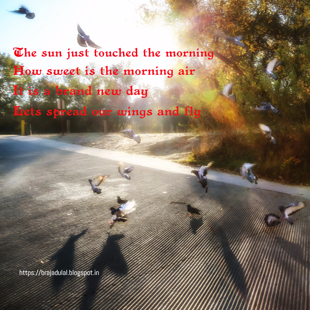 Live Well, Love Much, Laugh...