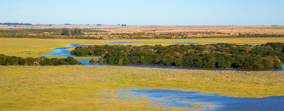 Nace el Parque Nacional Iberá. Provincia de Corrientes, Argentina