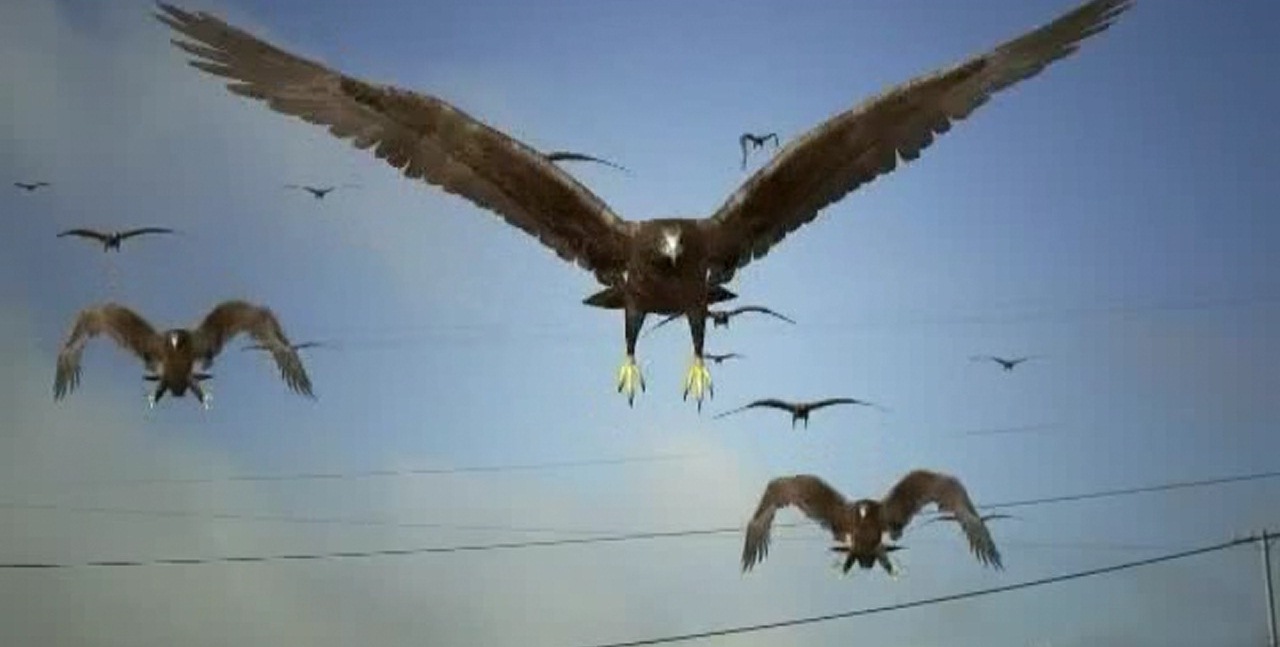 A Field Guide To Doomsday: Spawn Of Devastation Drive-In — 'Birdemic ...