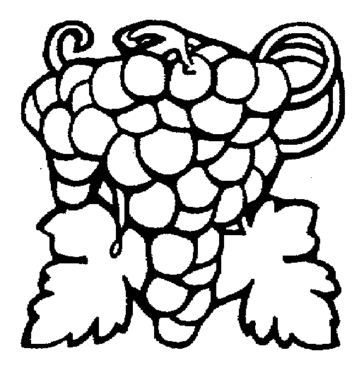 Free Grapes Coloring Pages | Team colors