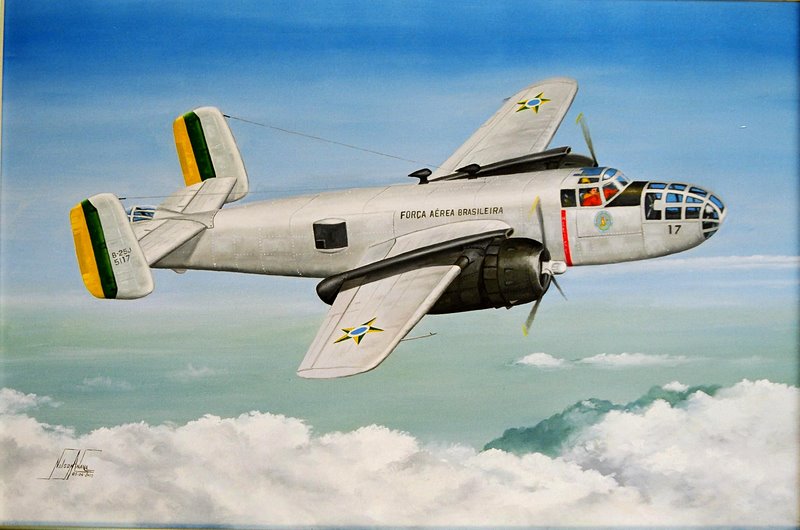 NELSON ANAYA - A ARTE AERONÁUTICA