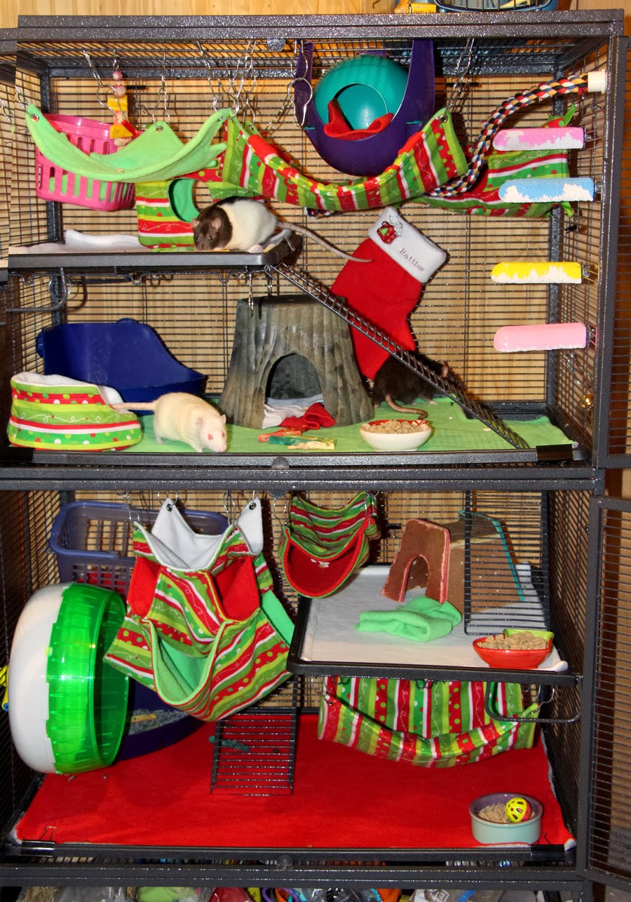 Ratropolis: Christmas Cages