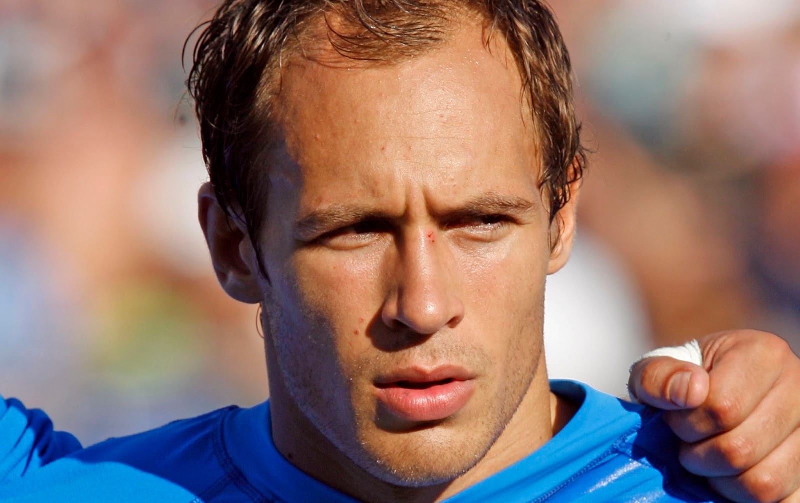 Wallpapers 1440x900: Sergio Parisse