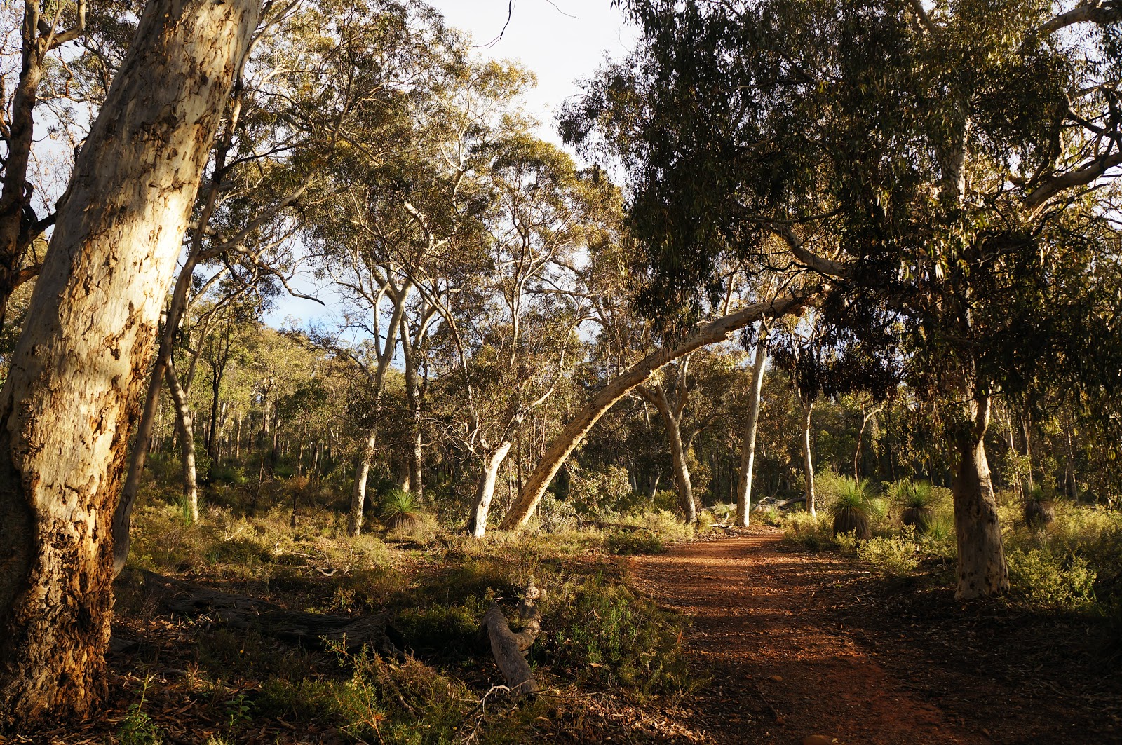 Eagle View Walk Trail (John Forrest National Park) ~ The Long Way's Better