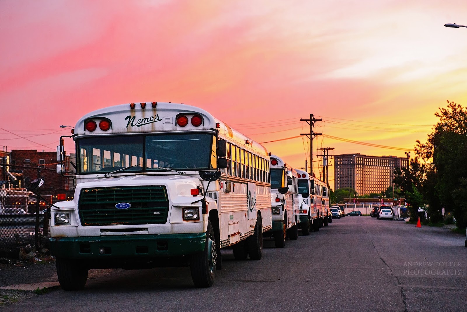 Andrew Potter Photo Blog: Nemo's Bus Fleet