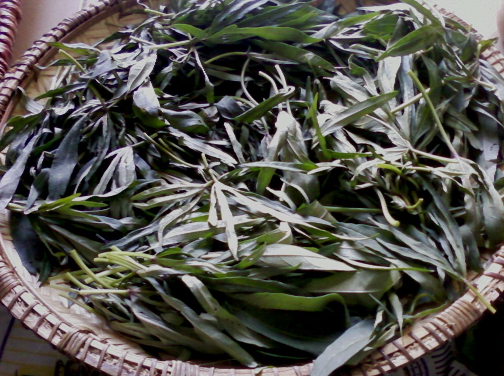 Rural and Urban: PISHI LA LEO - TEMBELE