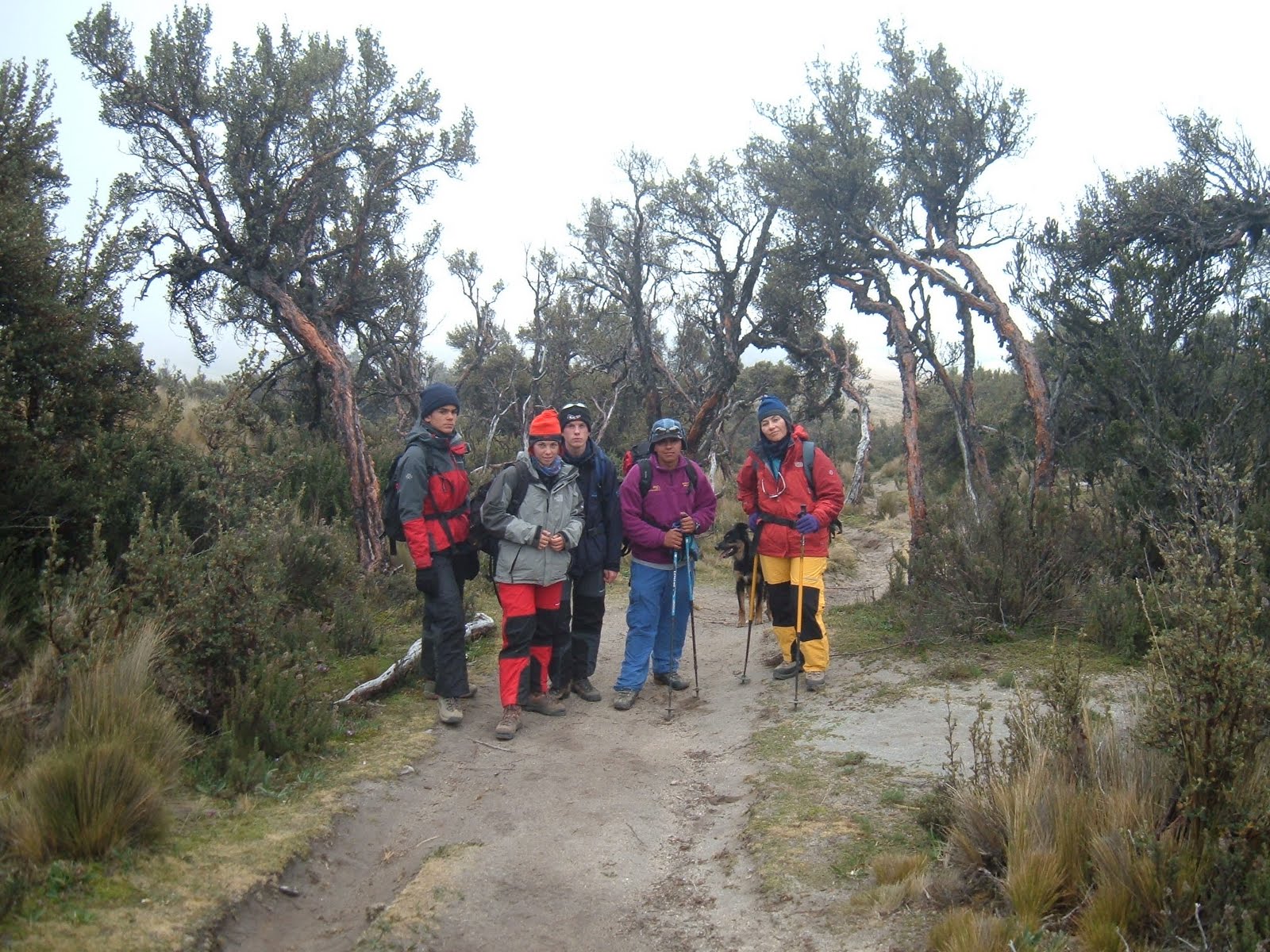 Cumbres en Familia: ILLINIZA NORTE