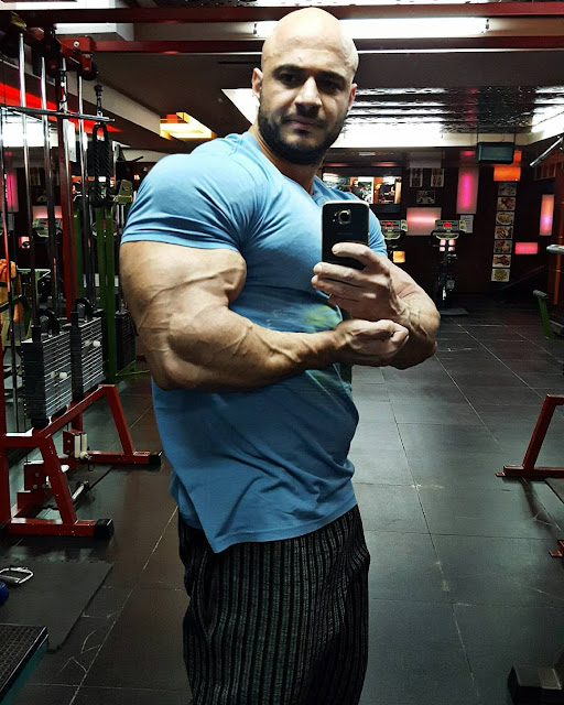 arkansas razorbacks baseball: Bodybuilding Champion of Albania 2017 ...