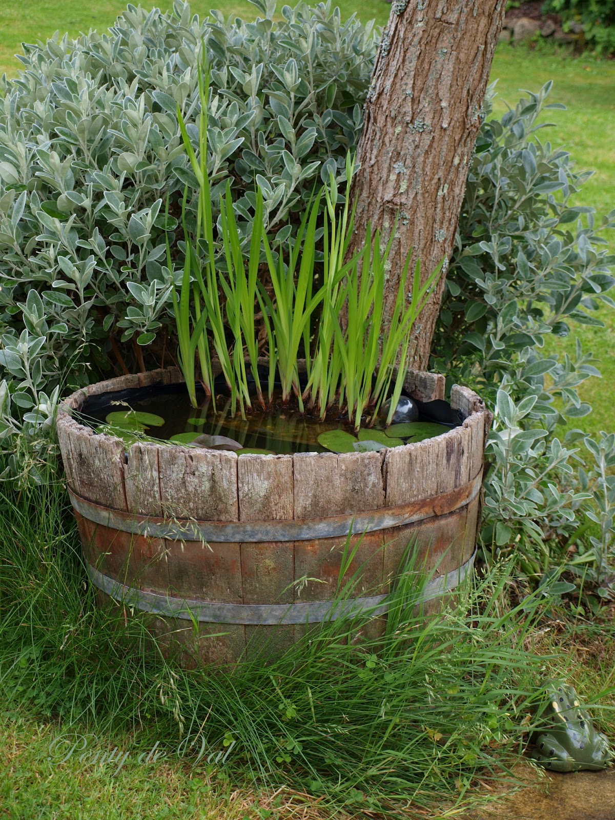 Penty de Val: Un mini bassin tonneau dans le jardin...