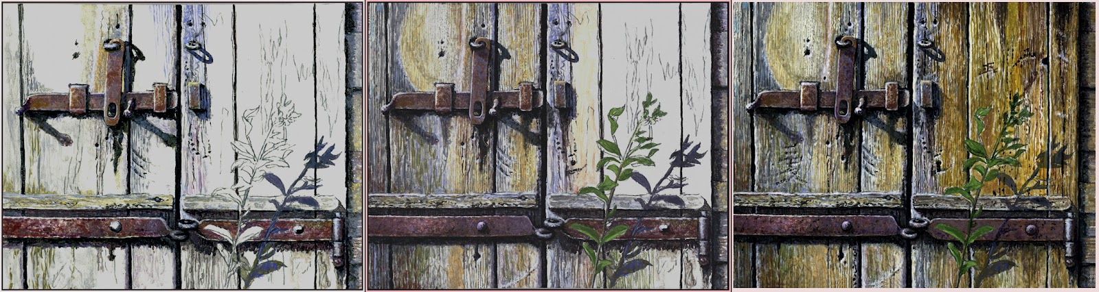 Paul Wolber Art Studio: Nature's Calligraphy: Final Posting of a Step ...