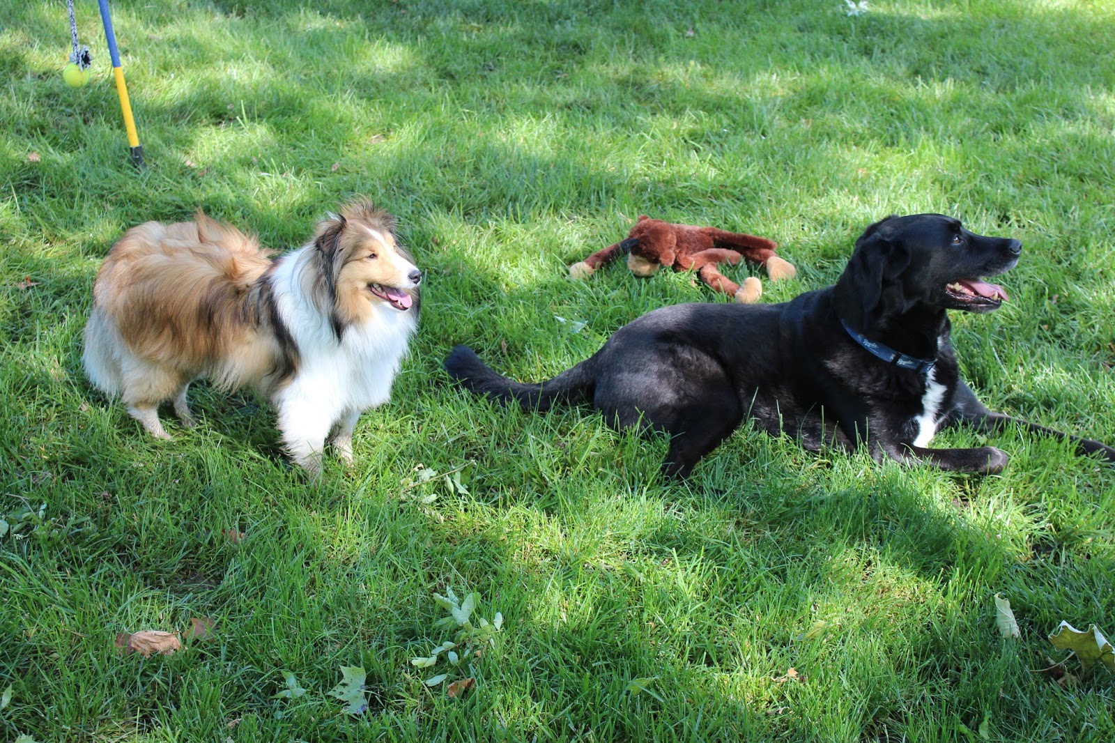 The Schorr Thing: Bailey Jayne - One Month