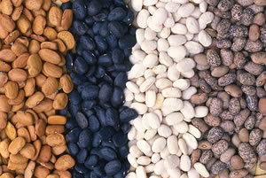 The Escalante Community Garden: Tohono O’odham Food Sovereignty