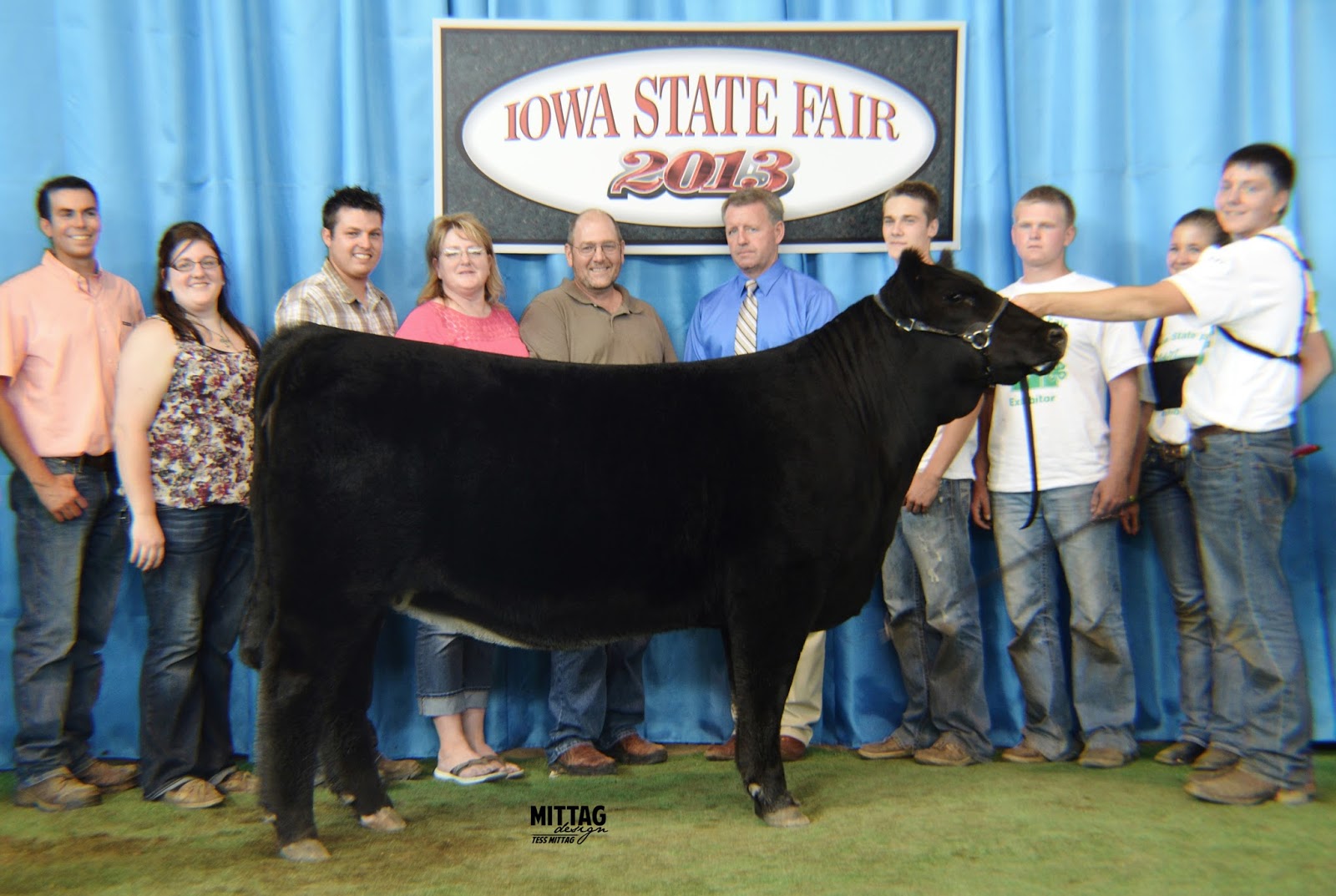 MITTAG Blog: Iowa State Fair 4-H Breeding Heifers TOP 5