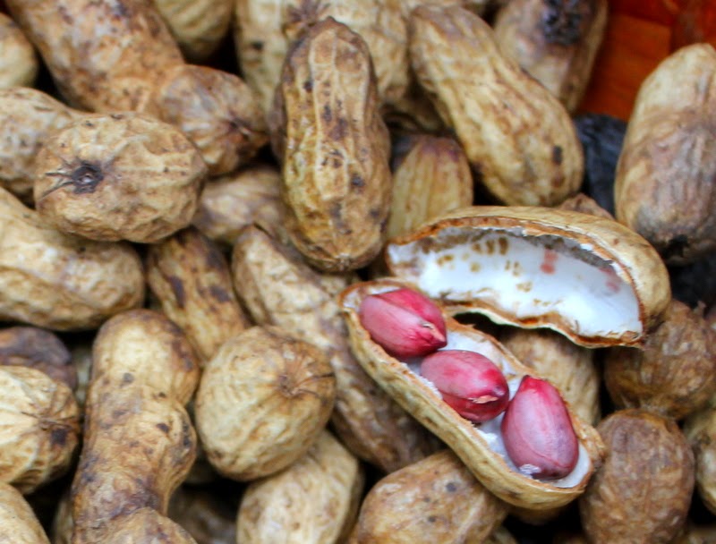 Nozongo and Coal Grilled Chibage from Zimbabwe - Ribbons to Pastas