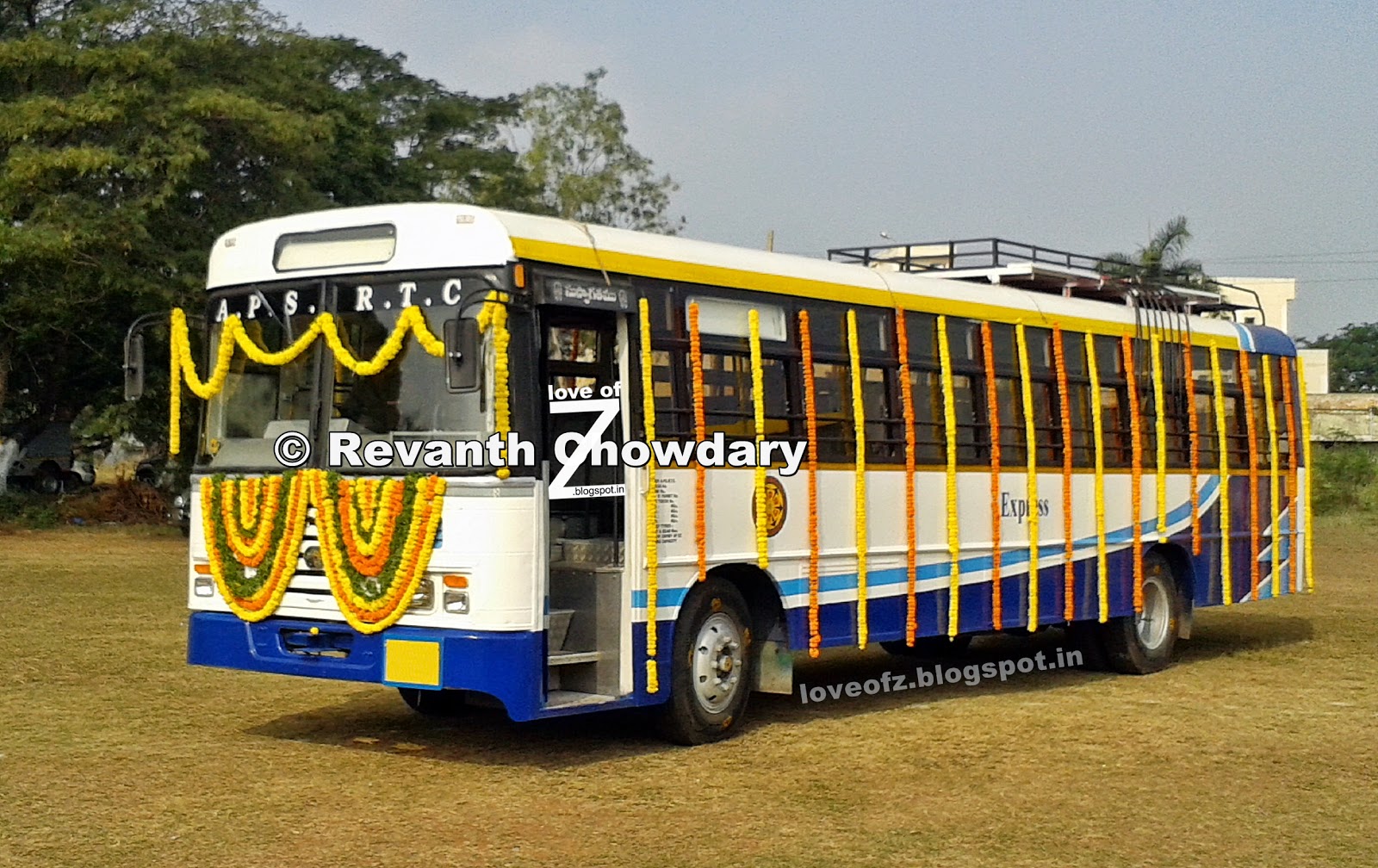 LOVE of Z: The 100 New Buses Inauguration