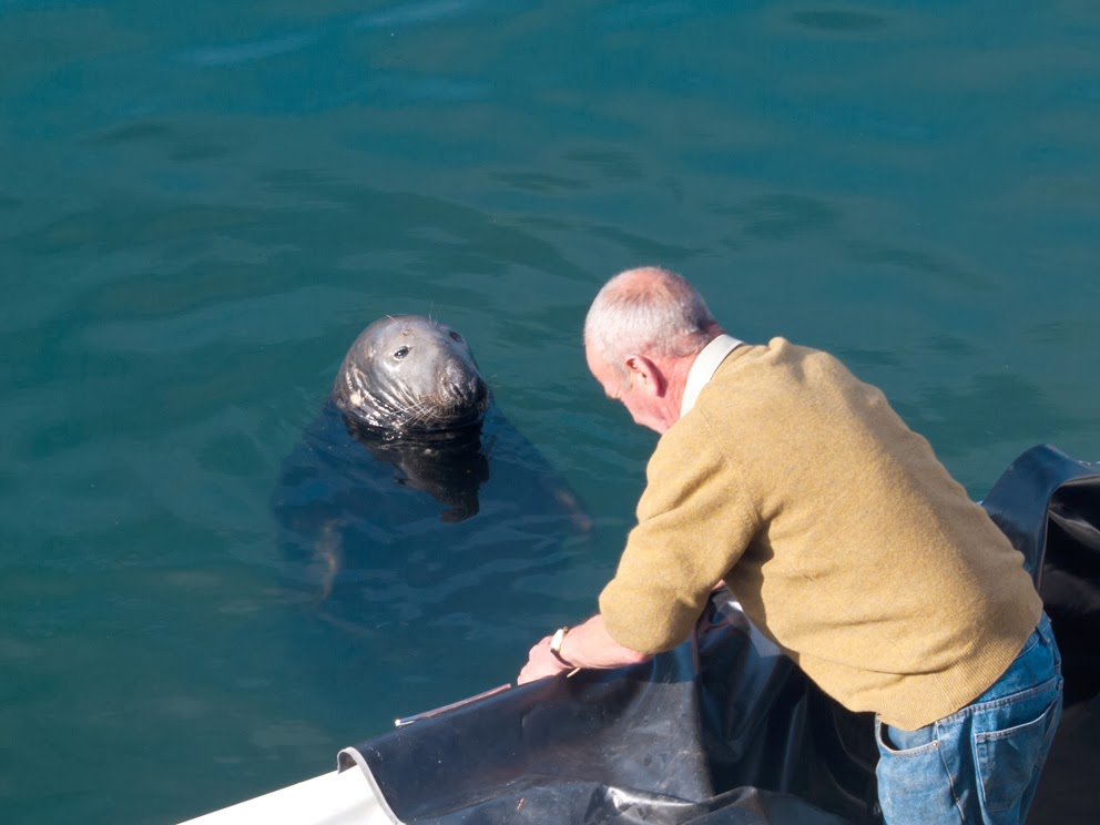 John Barnes - Cheviot Walker: Eyemouth, Scotland