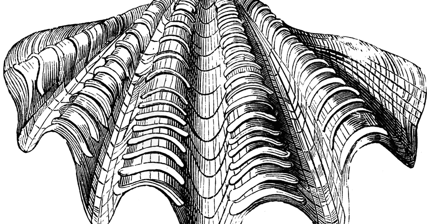 1/72 Multiverse: Killer Clams