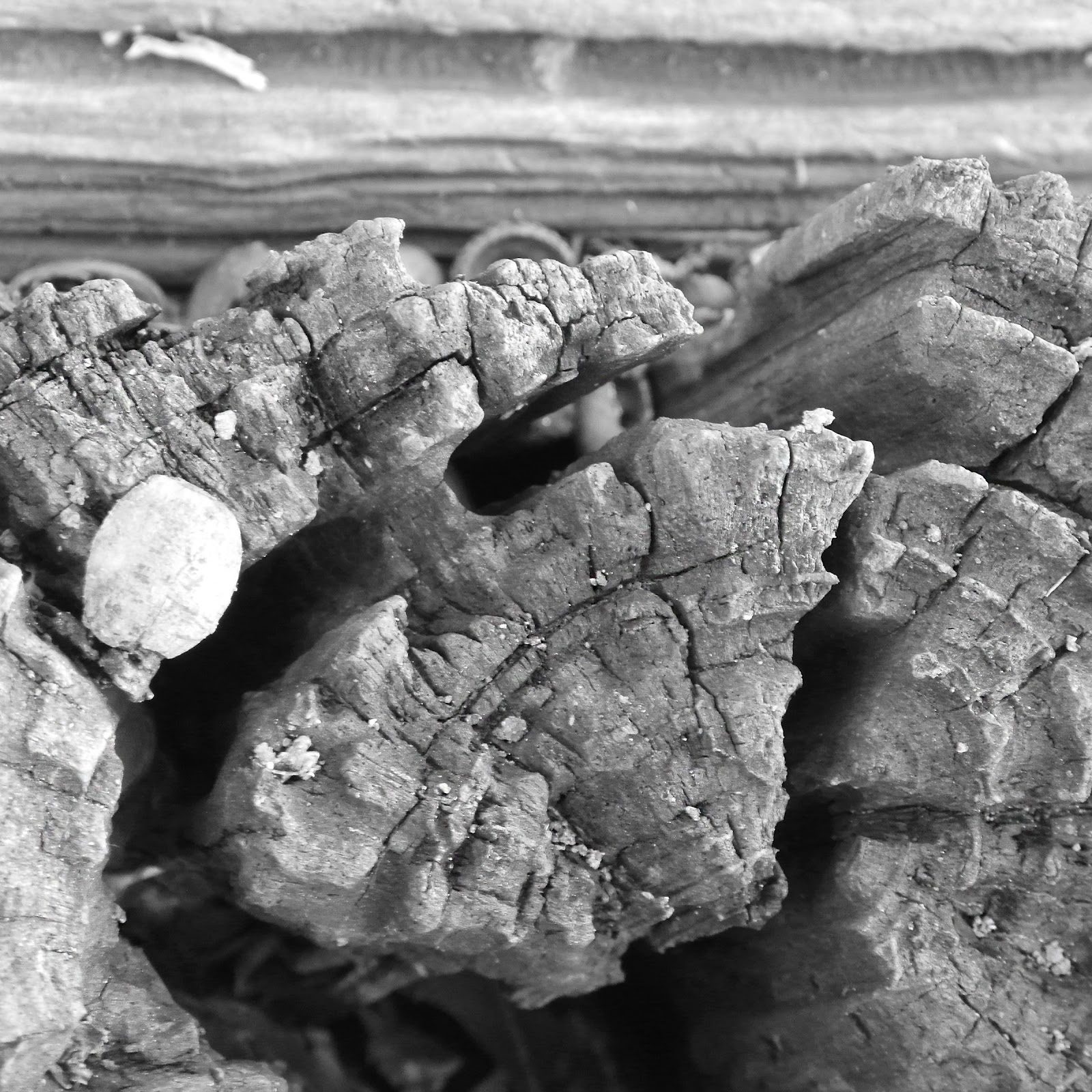 Dat Photo: Aaron Siskind Photos