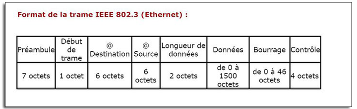 IT Maghreb: Une trame en réseau informatique