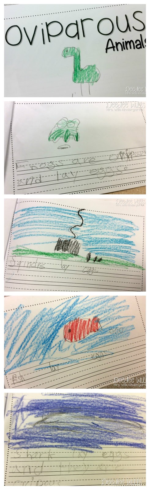 Oviparous Animals Lesson Plans ~ Peek at my Week | Mrs. Wills ...