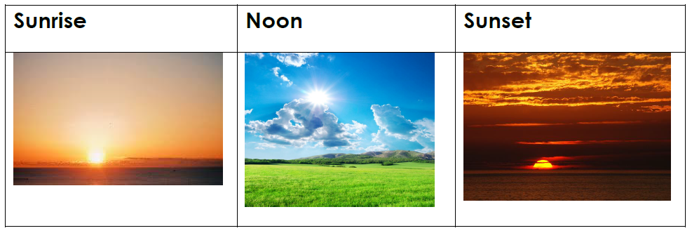 YEAR 3: octubre 2016