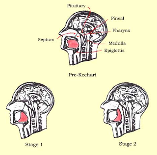 YOGA EM VOGA: KECHARI: O MUDRA QUE SE FAZ COM A LINGUA