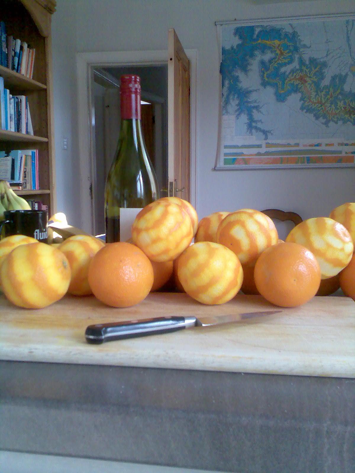 Ben's Adventures in Wine Making: Orange Wine 2016 - The Making Of ...