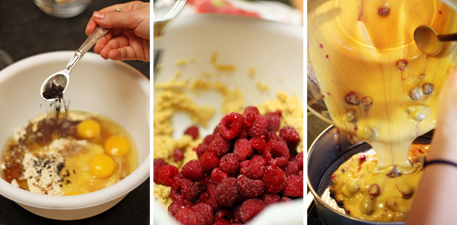 Raspberry Torte with Raspberry Coulis | Primal Palate | Paleo Recipes