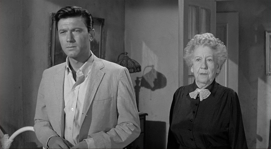 DREAMS ARE WHAT LE CINEMA IS FOR...: WALK ON THE WILD SIDE 1962