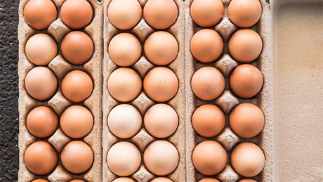 oua de gaina: Conditii pentru comercializarea ouălor